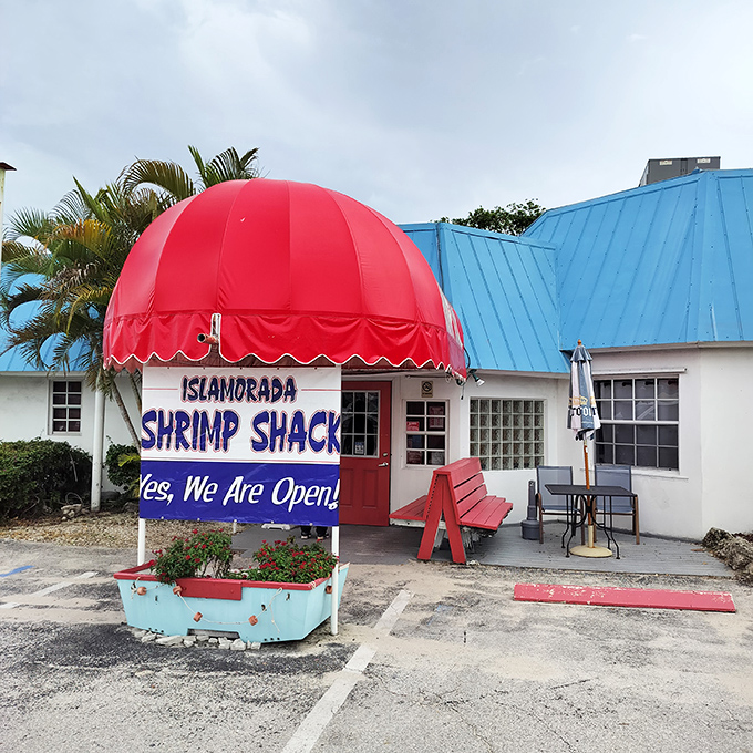 The "Yes, We Are Open!" sign might be the most beautiful three words in the English language when you're craving authentic Keys seafood.