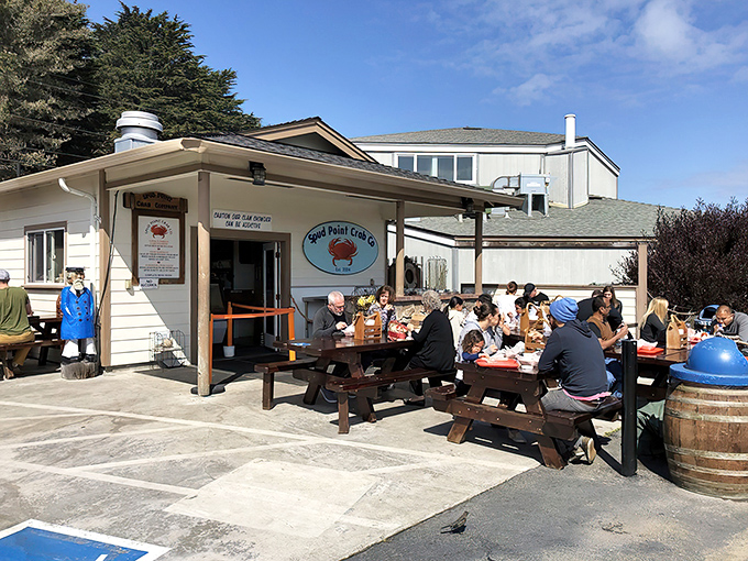 The holy grail of seafood shacks! Spud Point Crab Company's unassuming exterior belies the culinary treasures waiting inside this Bodega Bay institution.