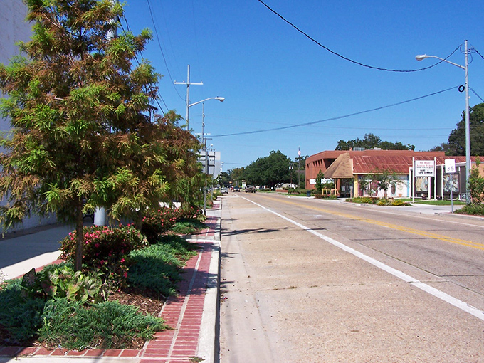 Downtown Rayne's tree-lined streets offer a peaceful setting for daily strolls. The well-maintained sidewalks and modest storefronts speak to the town's simple, budget-friendly appeal.