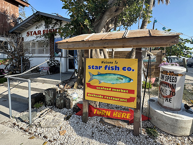 The unassuming entrance to seafood paradise. Star Fish Company's weathered wooden exterior promises authentic Florida Gulf Coast dining without pretense.