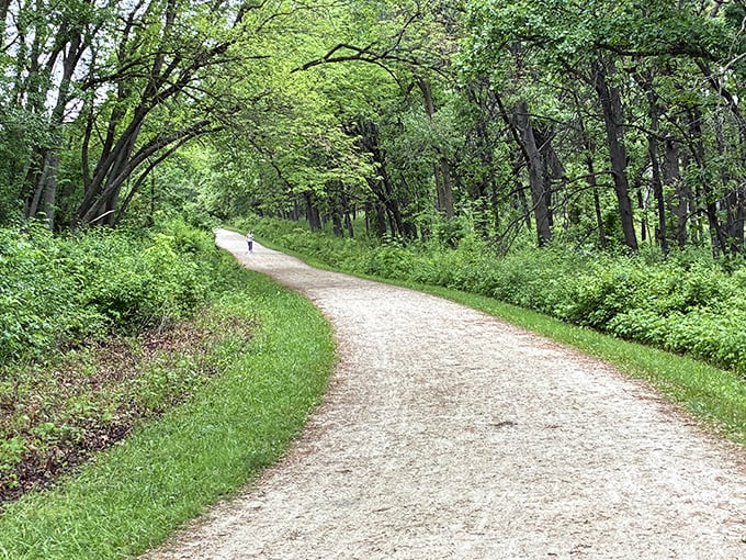 The path less traveled beckons through a verdant tunnel of trees. Nature's version of the yellow brick road, minus the Munchkins and flying monkeys.