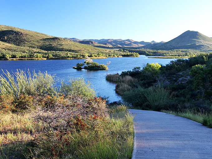 Nature's perfect contradiction: a shimmering blue oasis nestled among Arizona's sun-baked hills, where desert meets water in a landscape that defies expectations.