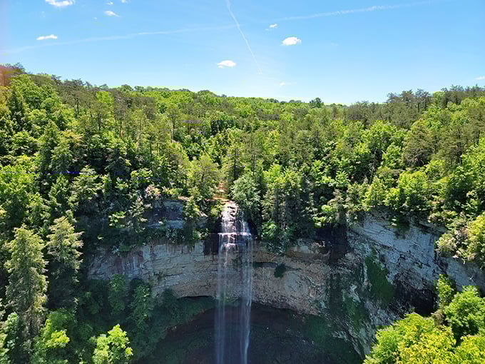 Nature's skyscraper: Fall Creek Falls plunges 256 feet into an emerald pool, creating Tennessee's most dramatic selfie backdrop. Worth every step of the hike.