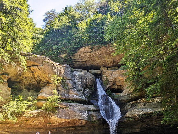 Sunlight filters through the forest canopy, highlighting Cedar Falls in its summer glory. Mother Nature showing off again, as if Ohio needed more bragging rights.