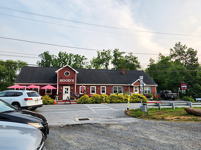 Sometimes the best barbecue joints look like your cousin's garage, and that's exactly the point here.