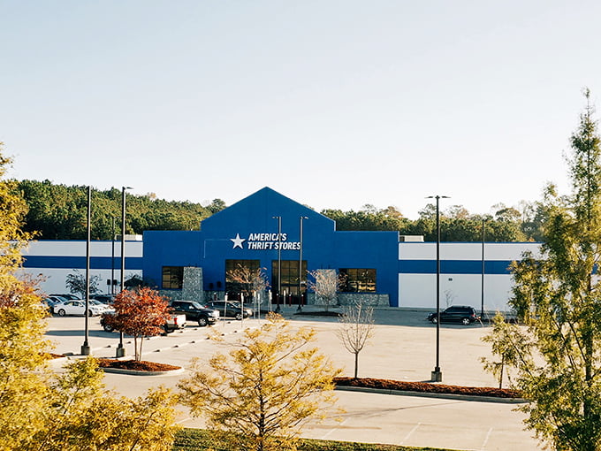 From this angle, America's Thrift Store looks like a retail superhero headquarters, complete with star logo and a parking lot full of treasure seekers.