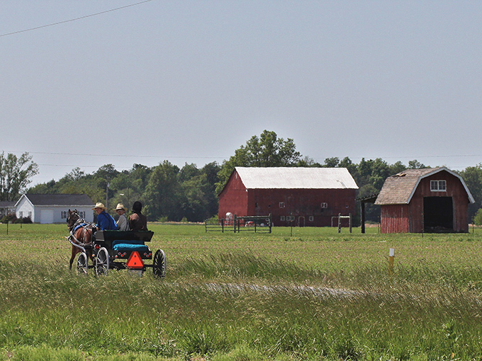 Where horse-drawn buggies aren't historical reenactments but Tuesday morning commutes. Amish farmers work the land as their ancestors did, creating a living postcard of rural simplicity.