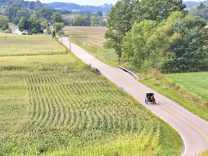 Where time slows down and cornfields stretch to the horizon. Walnut Creek's landscape is nature's masterpiece painted in shades of simplicity.