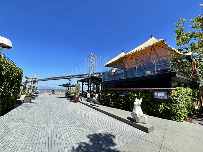 Waterbar's exterior is architectural poetry &ndash; where modern design meets maritime charm, complete with that whimsical fish sculpture standing guard like an aquatic bouncer.