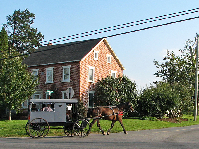 Where time travels at the speed of hooves: an Amish buggy passes a traditional brick home, reminding us that some commutes are meant to be savored.