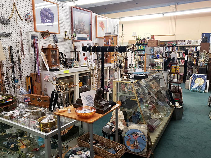 A treasure hunter&rsquo;s first glimpse of paradise! Inside Staunton&rsquo;s vintage wonderland, every shelf and glass case overflows with curiosities just waiting to be rediscovered.
