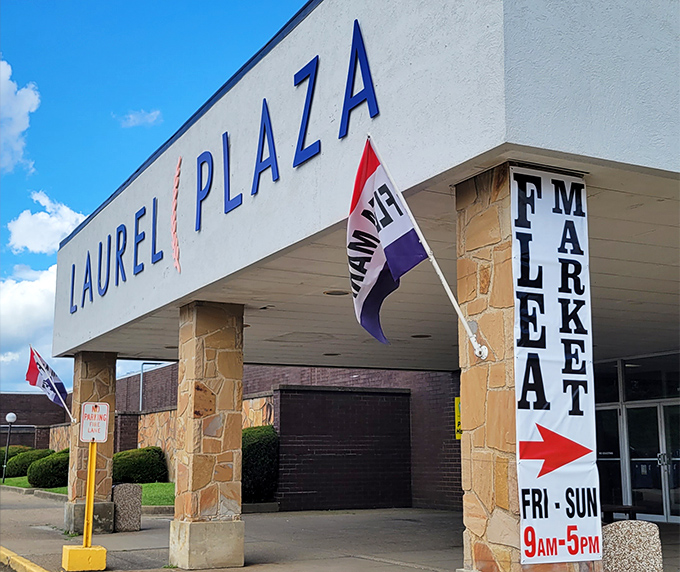 The unassuming exterior of Laurel Plaza hides a treasure trove within&mdash;like finding a gourmet meal at a gas station, the best surprises come in modest packages.