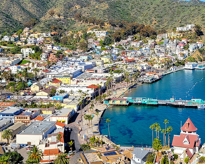 Avalon unfolds like a Mediterranean daydream, with colorful buildings cascading down hillsides toward that impossibly blue harbor. Who needs Europe when this exists?