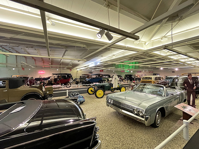 The Museum of Automobiles' spacious showroom displays decades of automotive history, from vintage classics to mid-century beauties, all meticulously preserved.
