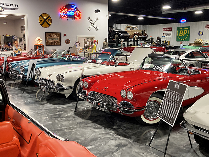 Corvettes, Thunderbirds, and dreams on wheels. This row of American classics showcases the museum's impressive collection of automotive royalty.