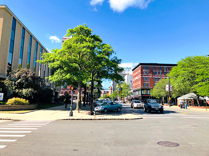 Downtown Manchester blends historic charm with modern convenience, where tree-lined streets invite exploration without breaking the bank.