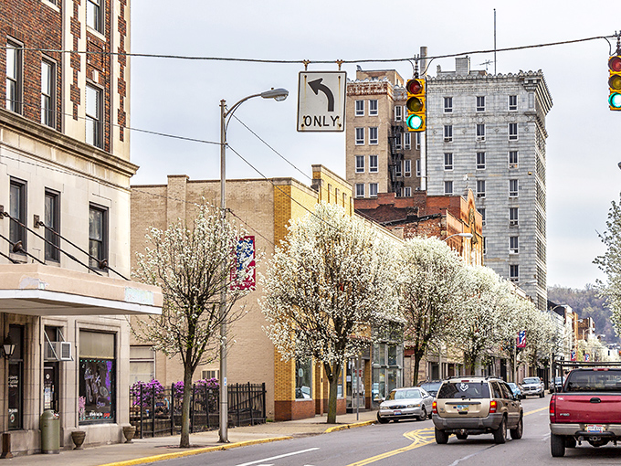 Spring transforms Steubenville's main street into a flowering wonderland, where Bradford pear blossoms create nature's version of a retirement welcome parade.
