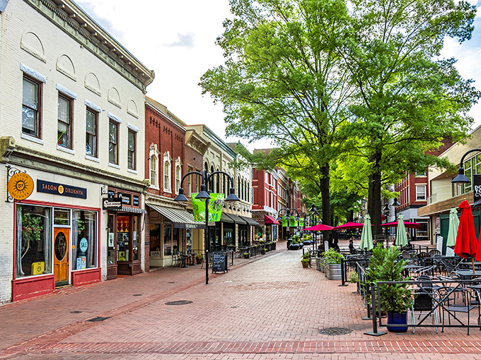 Charlottesville's Historic Downtown Mall invites you to stroll its brick-lined paradise where shops, restaurants, and towering trees create an atmosphere that whispers "slow down and stay awhile."
