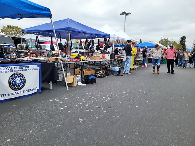 Colorful canopies create a marketplace mosaic. Vendors arrange their wares with the precision of museum curators, transforming ordinary parking spaces into retail wonderlands.