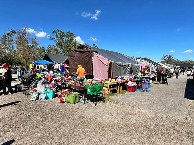 The treasure hunter's paradise unfolds under Florida's blue skies, where colorful plastic bins overflow with possibilities and every aisle promises discovery.