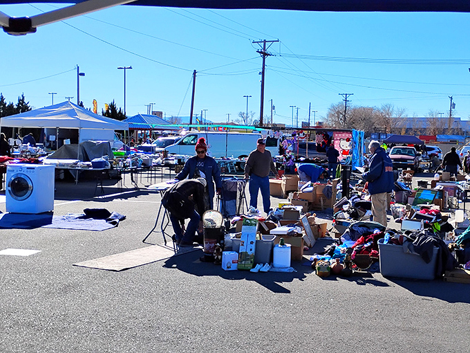 Early birds catch the deals! Treasure hunters navigate a sea of possibilities under the bright Albuquerque sky, where one person's castoffs become another's prized finds.