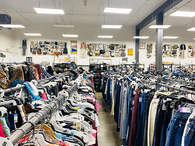 Goodwill hides a universe of secondhand treasures waiting to be discovered by savvy San Franciscans.