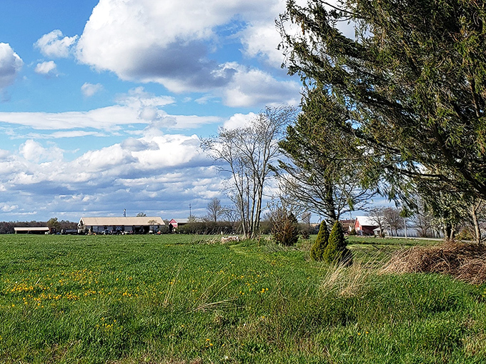 This field proves Connecticut isn't just insurance companies and hedge funds &ndash; we've got wide-open spaces too.