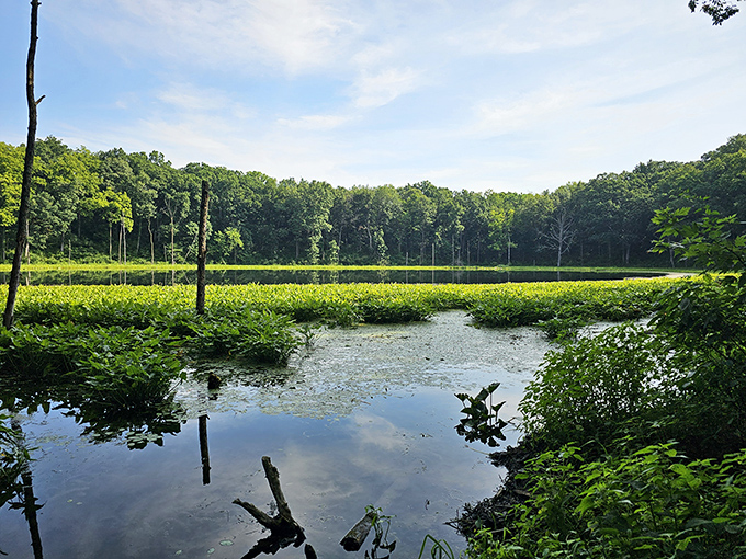 Nature's perfect highway system: a serene channel connects the park's nine lakes, inviting kayakers to glide beneath wooden bridges and discover hidden coves.