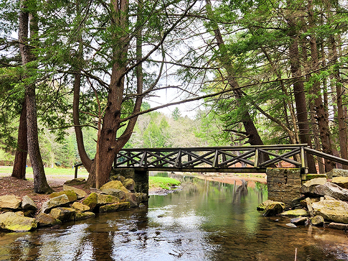 That wooden bridge isn't just crossing water&mdash;it's crossing from your stressed-out life to nature's therapy session. No co-pay required.