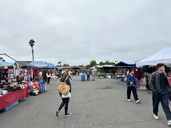 Morning at Kobey's: shoppers navigate the treasure-filled aisles under San Diego's iconic palm trees, each white tent promising undiscovered bargains and stories waiting to be told.