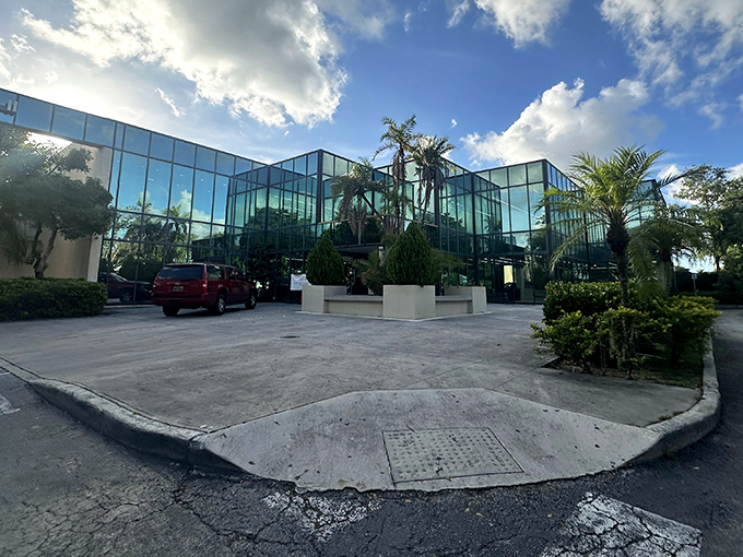 The sleek glass exterior of American Thrift belies the wonderland of bargains inside. Florida sunshine reflects off windows like nature's spotlight on savings.