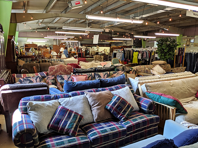 A sea of sofas awaits new homes. Like dating in your 50s, it's all about finding the one with the right amount of comfort and character.