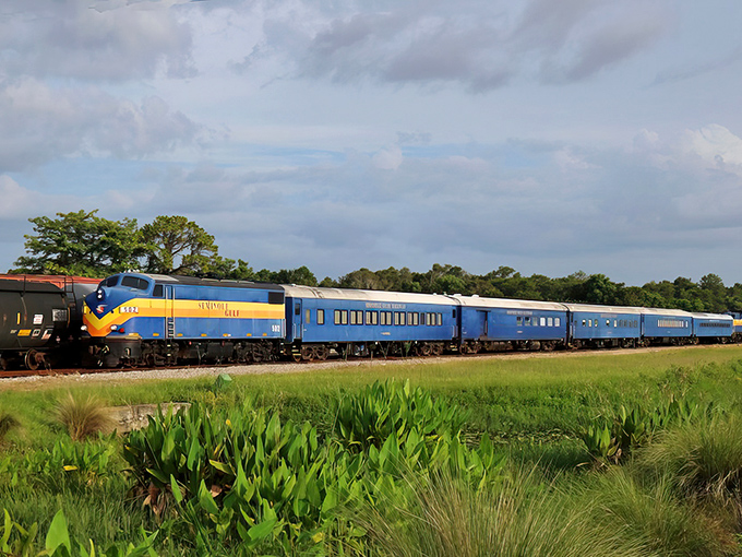 Rolling through Southwest Florida's lush countryside, the Seminole Gulf Railway offers views you'll never experience from the highway.