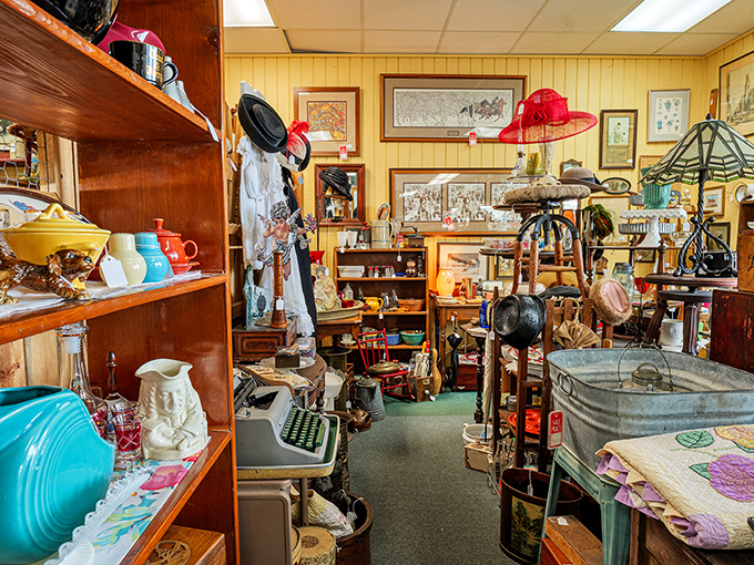A treasure hunter's paradise where vintage typewriters meet turquoise dishware, and every shelf tells a different decade's story.