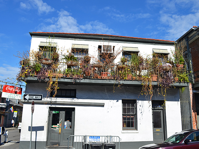 A classic French Quarter building with overflowing balcony gardens above, the Clover Grill stands as a humble counterpoint to the neighborhood's more flamboyant attractions.