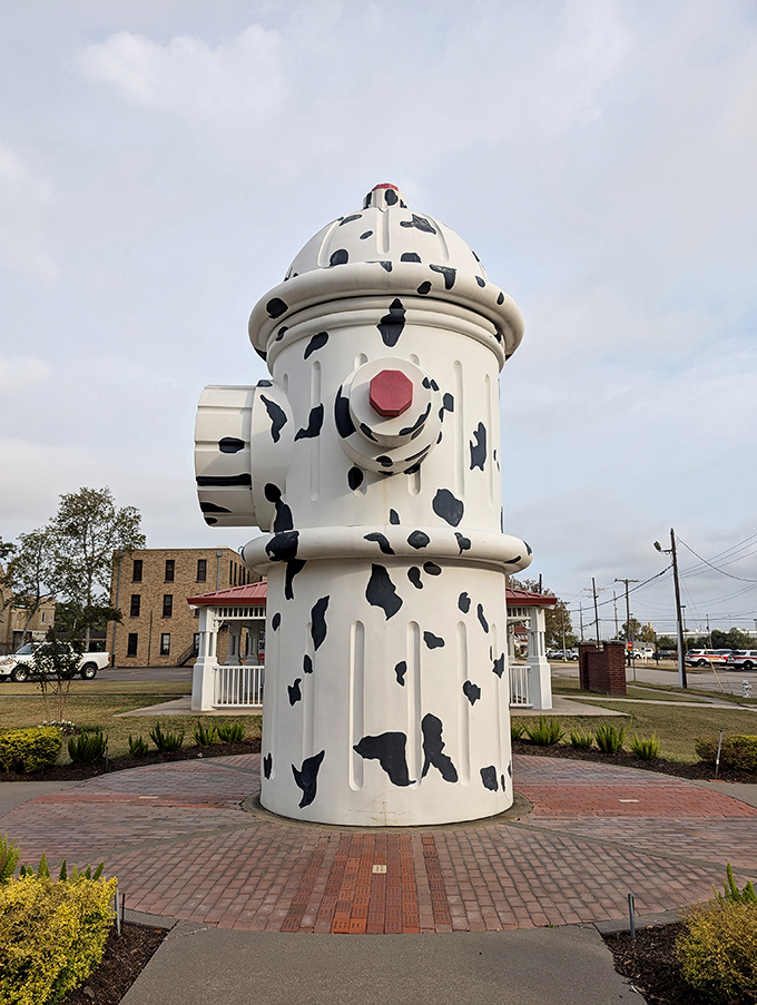 Those Dalmatian spots aren't just for show &ndash; this beauty actually connects to the city's water system.
