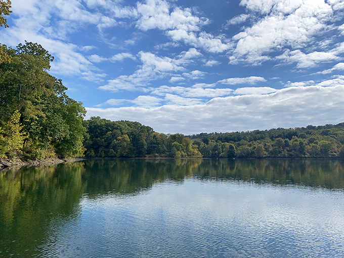 Nature's perfect mirror: Wolf Run Lake reflects the surrounding forest like a professional photographer's dream shot. Serenity comes standard with every visit.