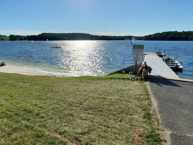 The sun dances across Marsh Creek Lake's surface, creating nature's own light show while a wooden dock invites you to step closer to serenity.