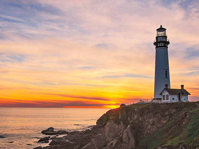 This towering beauty stands 115 feet tall, making every visitor feel delightfully small in the best way possible.