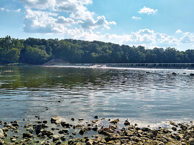 The Maumee River flows past like it's auditioning for a screensaver job, and honestly, it's got our vote for the role.