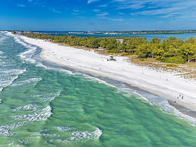 Where turquoise meets talcum powder. Coquina Beach's gentle waves create nature's perfect lullaby, inviting you to forget your to-do list and remember what vacation feels like.