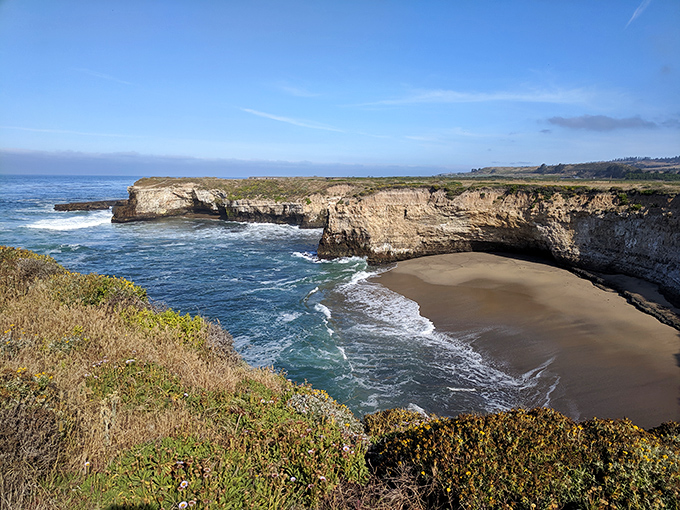 Nature's perfect balcony view! The dramatic cliffs of Wilder Ranch meet the Pacific in a display that makes even seasoned travelers stop mid-sentence.