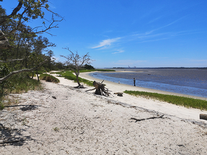 Where land meets water in perfect harmony. The sandy shoreline of Carolina Beach State Park offers peaceful solitude just steps from maritime forest.