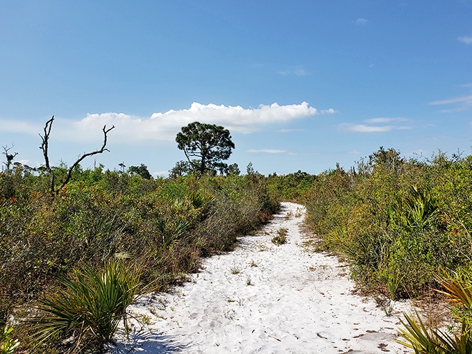 White sandy trails cutting through scrubby wilderness &ndash; Mother Nature's version of the yellow brick road, minus the Munchkins and flying monkeys.