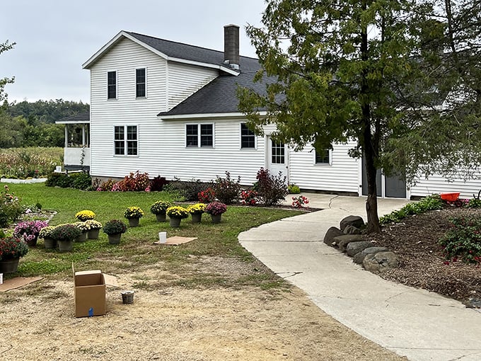 The unassuming white farmhouse exterior of Pleasant View Bakery, where colorful flower pots hint at the vibrant flavors waiting inside.