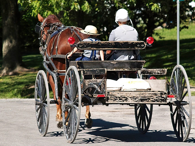 A glimpse of Amish life in motion &ndash; where transportation isn't just about getting somewhere, but about savoring the journey itself.