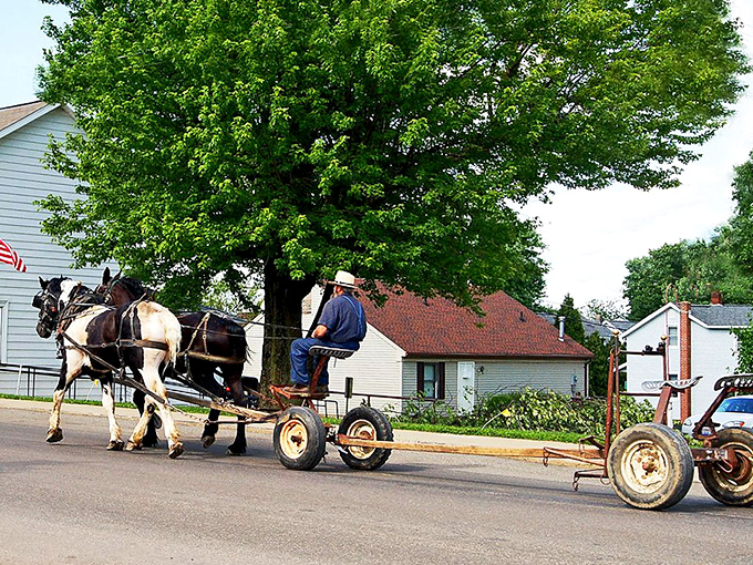 The original rideshare service: horse-drawn transportation moves at a pace that lets you actually notice the world around you.