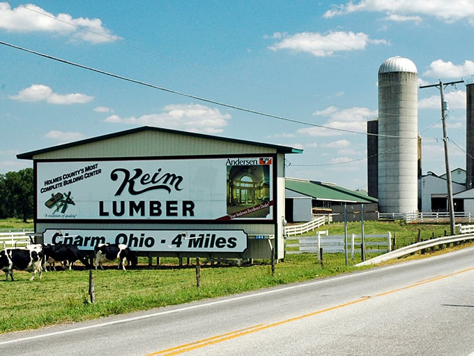 "Holmes County's Most Complete Building Center" isn't just a slogan&mdash;it's a promise. Keim Lumber stands as a beacon of craftsmanship amid grazing Holstein cows.