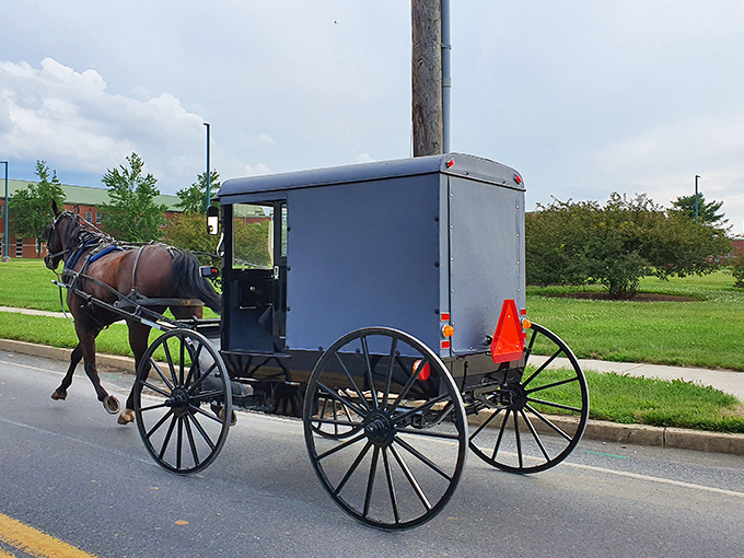 The quintessential Bird-in-Hand moment&mdash;an Amish buggy rolling steadily along the road, where simple living still guides the pace of everyday life.
