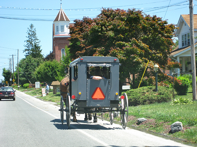 Life in the slow lane never looked so good &ndash; buggies and trees creating perfect harmony.
